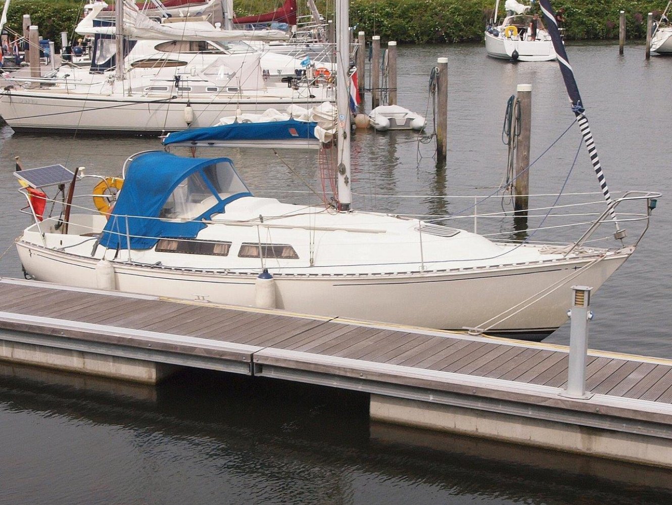 Trapper 501 - White Whale Yachtbrokers